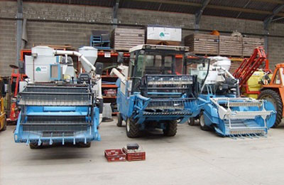 FLORA WEST EUROPA | nl | EDITOR